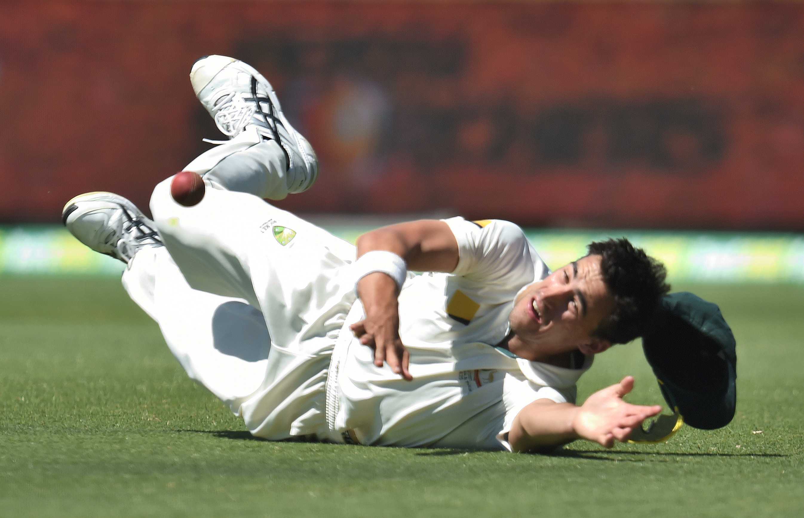 Adam Collins - ABC News