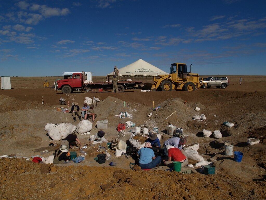 'Thrill of discovery' drives outback dinosaur dig - ABC News