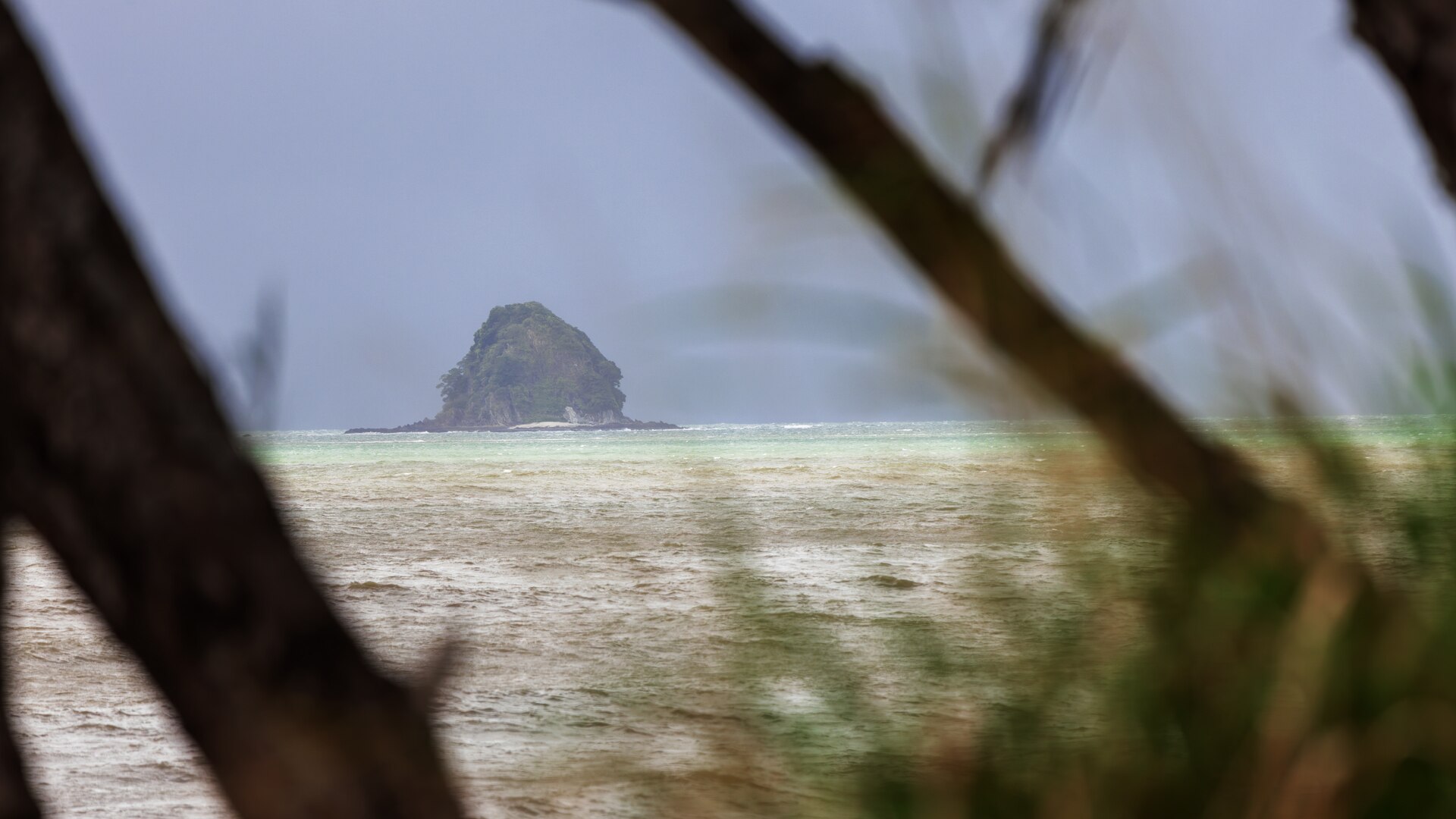Enduring obsession with the Great Barrier reef captured in dazzling ...