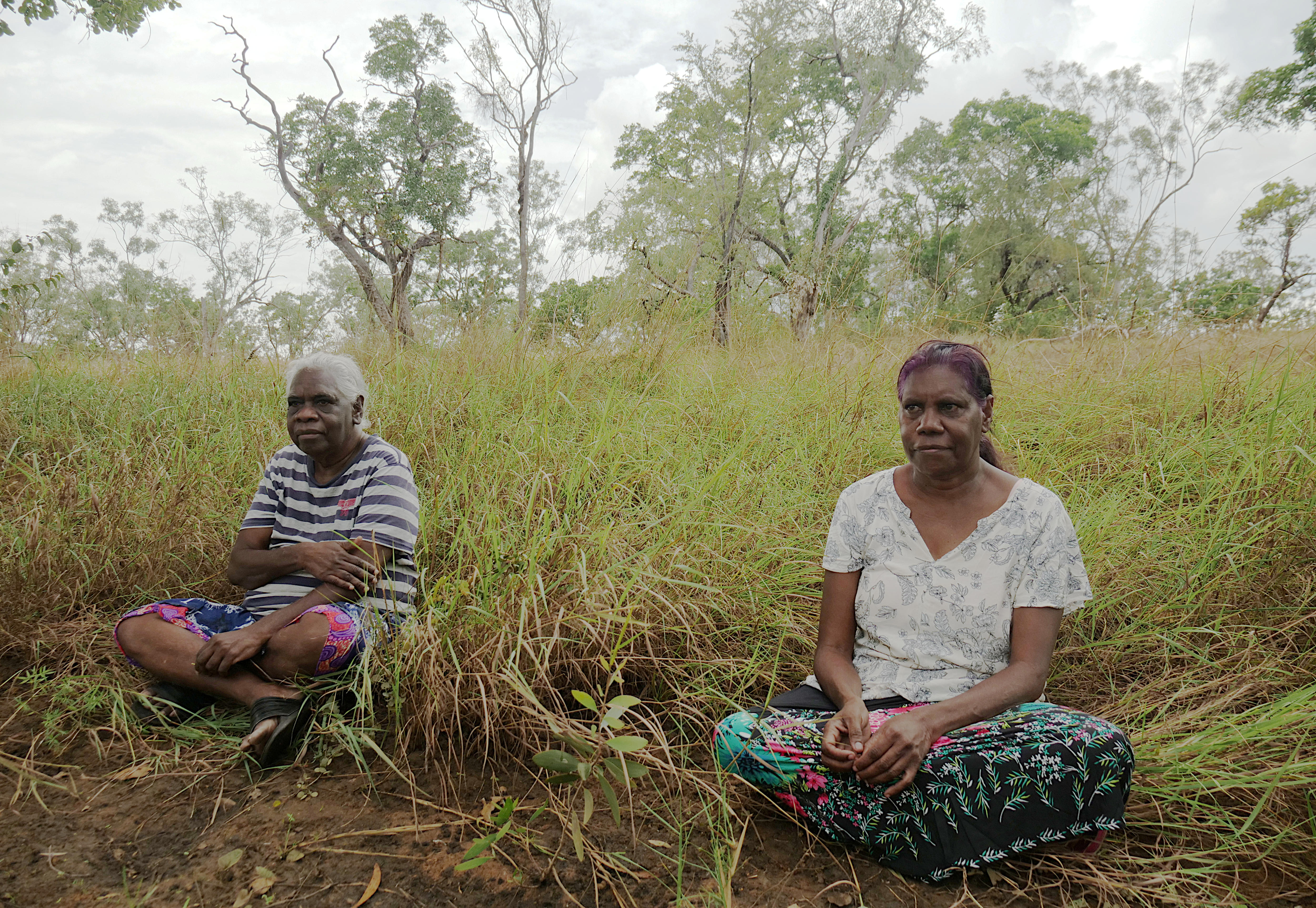 Arnhem Land sister artists record fragile abundance of Top End wet ...