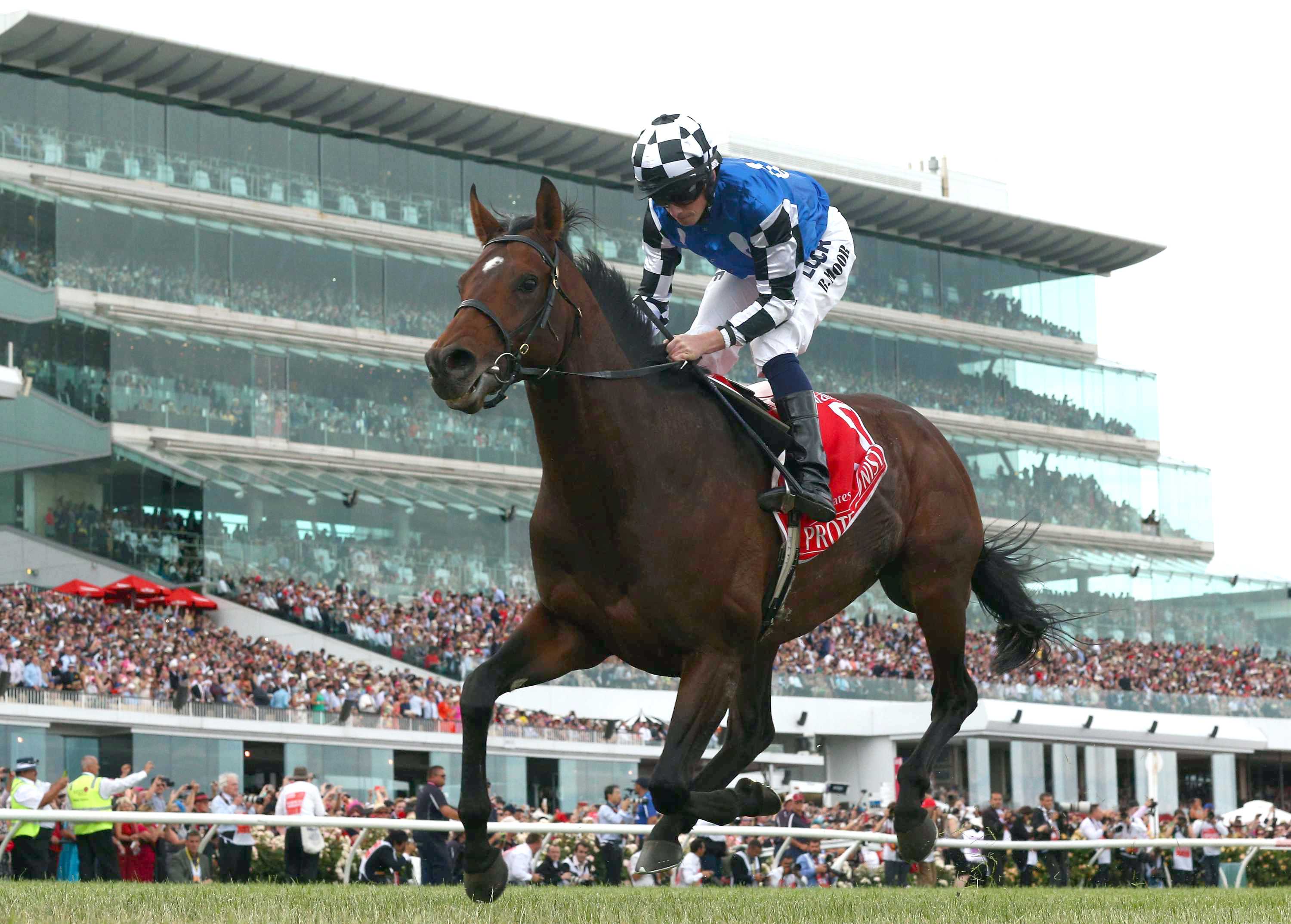 Admire Rakti's Melbourne Cup tragedy overshadows internationals ...