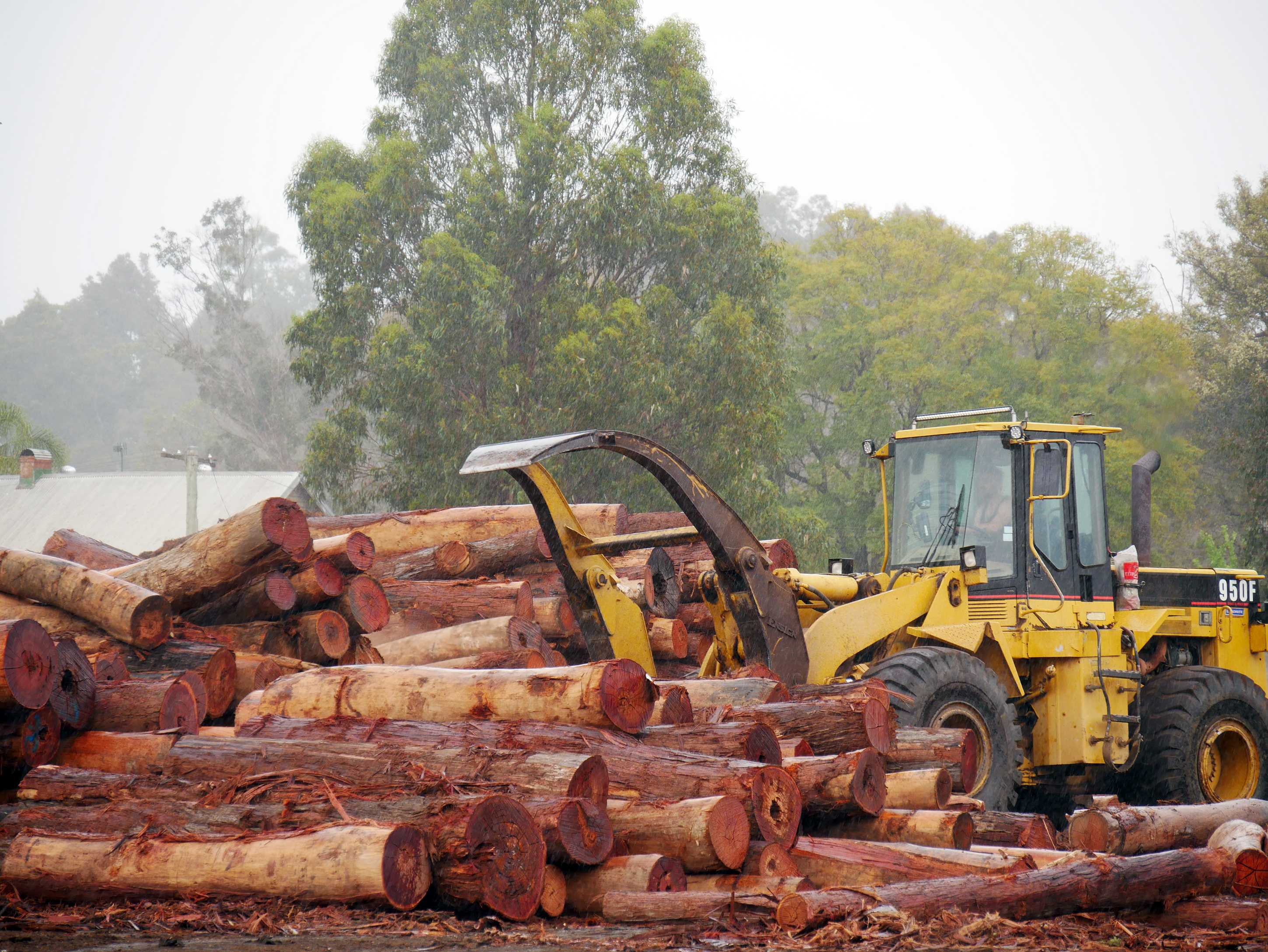 Parkside Timber buys WA's Nannup Timber Processing amid malpractice ...