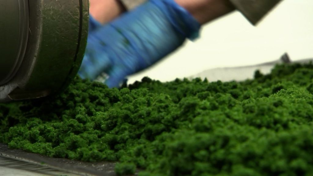 Seaweed Siren: A scientist turns to the healing powers of seaweed after ...