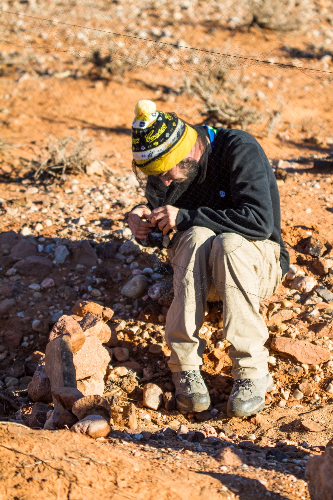 Outback life in the arid zone at remote Fowlers Gap research station in ...