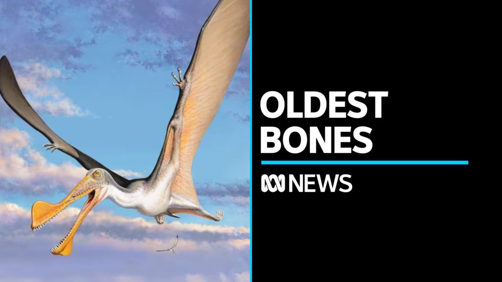 Researchers confirm bones of dinosaurs' cousin oldest ever found in ...