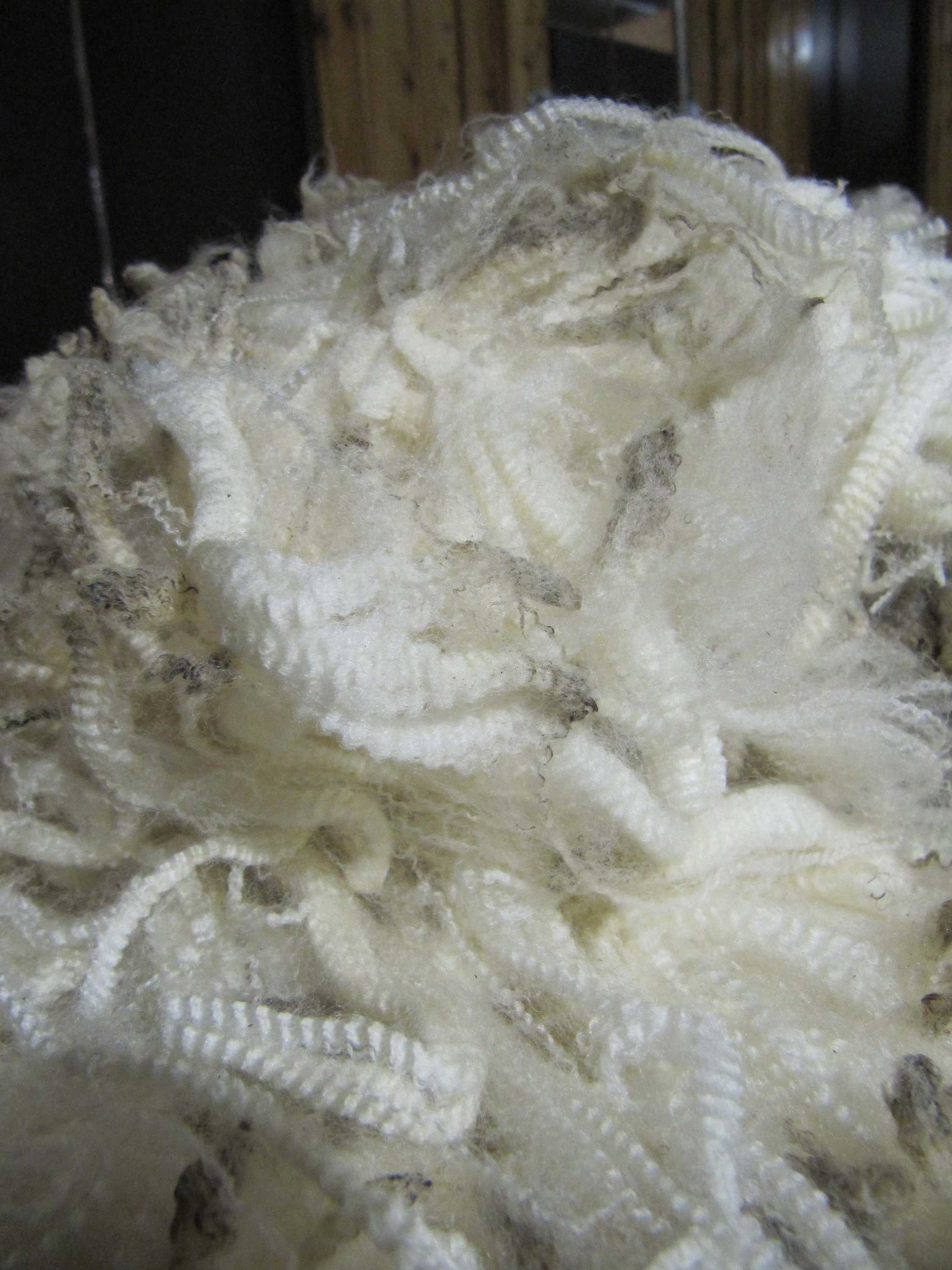 Genetics the key to stronger wool - ABC News