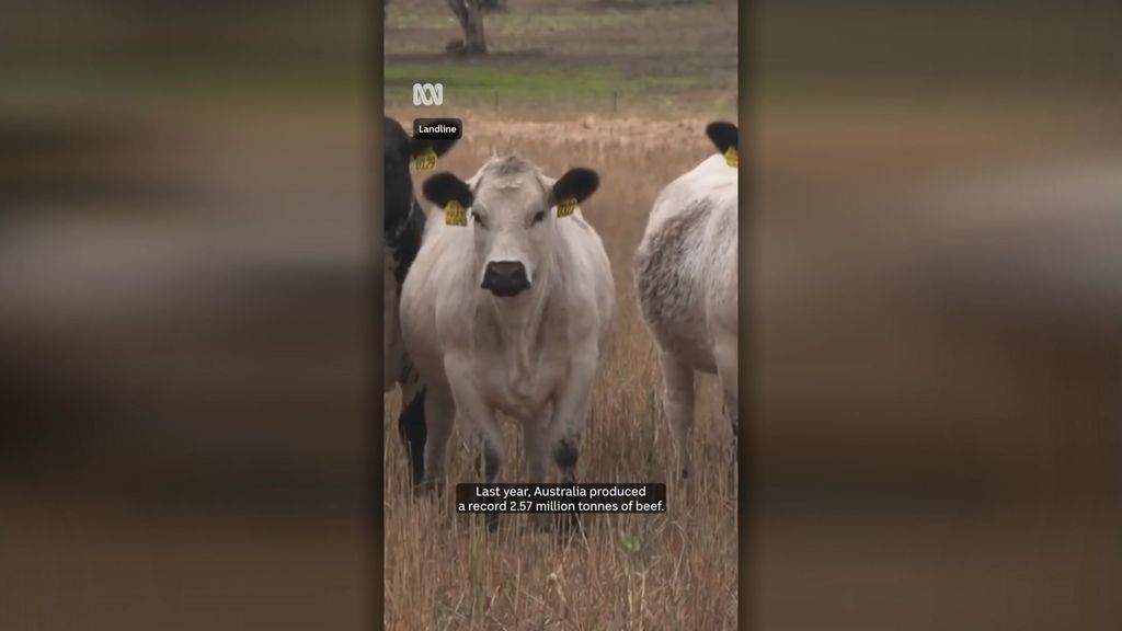 Fact checking Trump's swipe at Aussie beef - ABC News