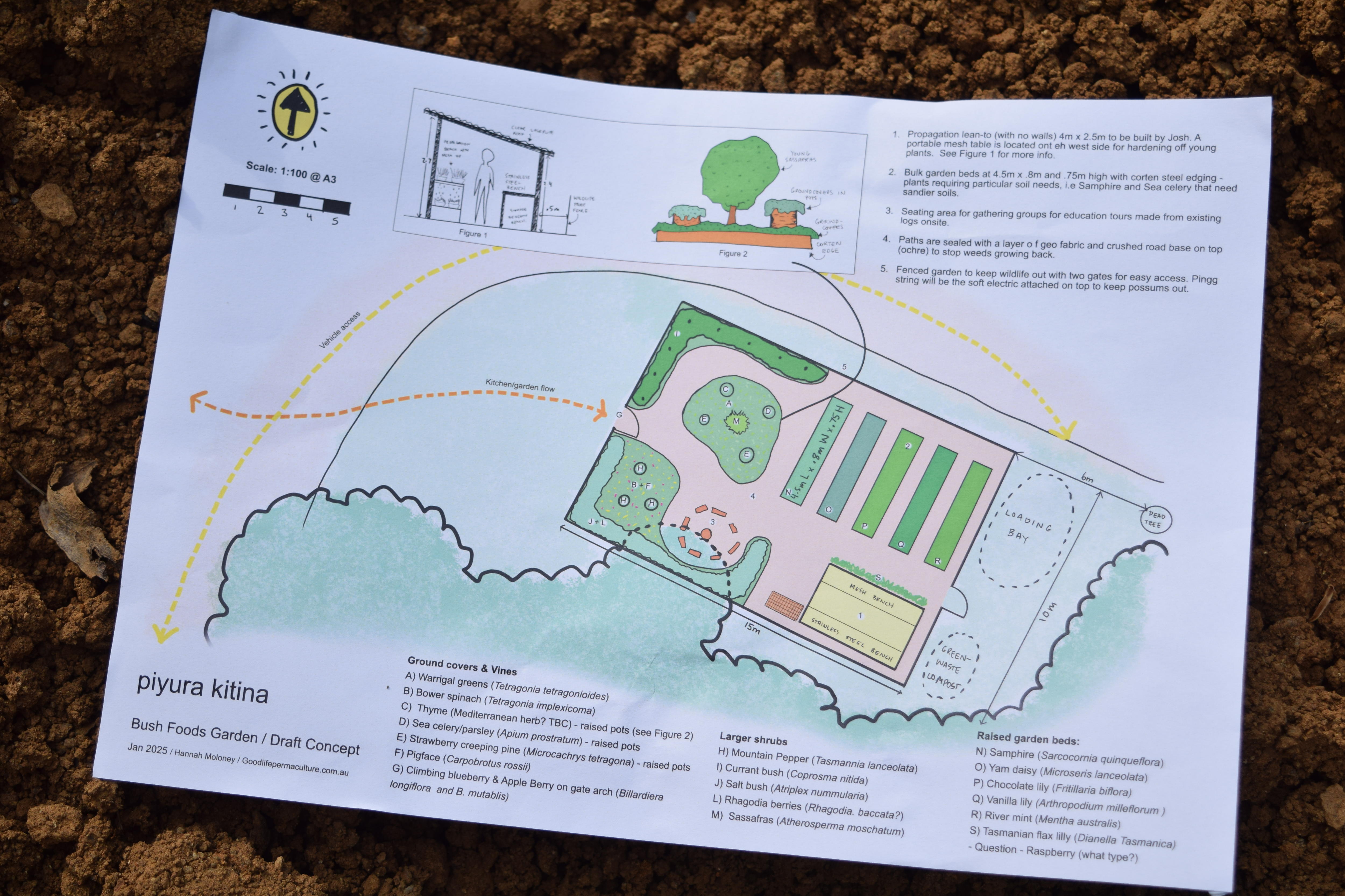 Bush-food garden marks return to 'natural ways' at Piyura Kitina/Risdon ...