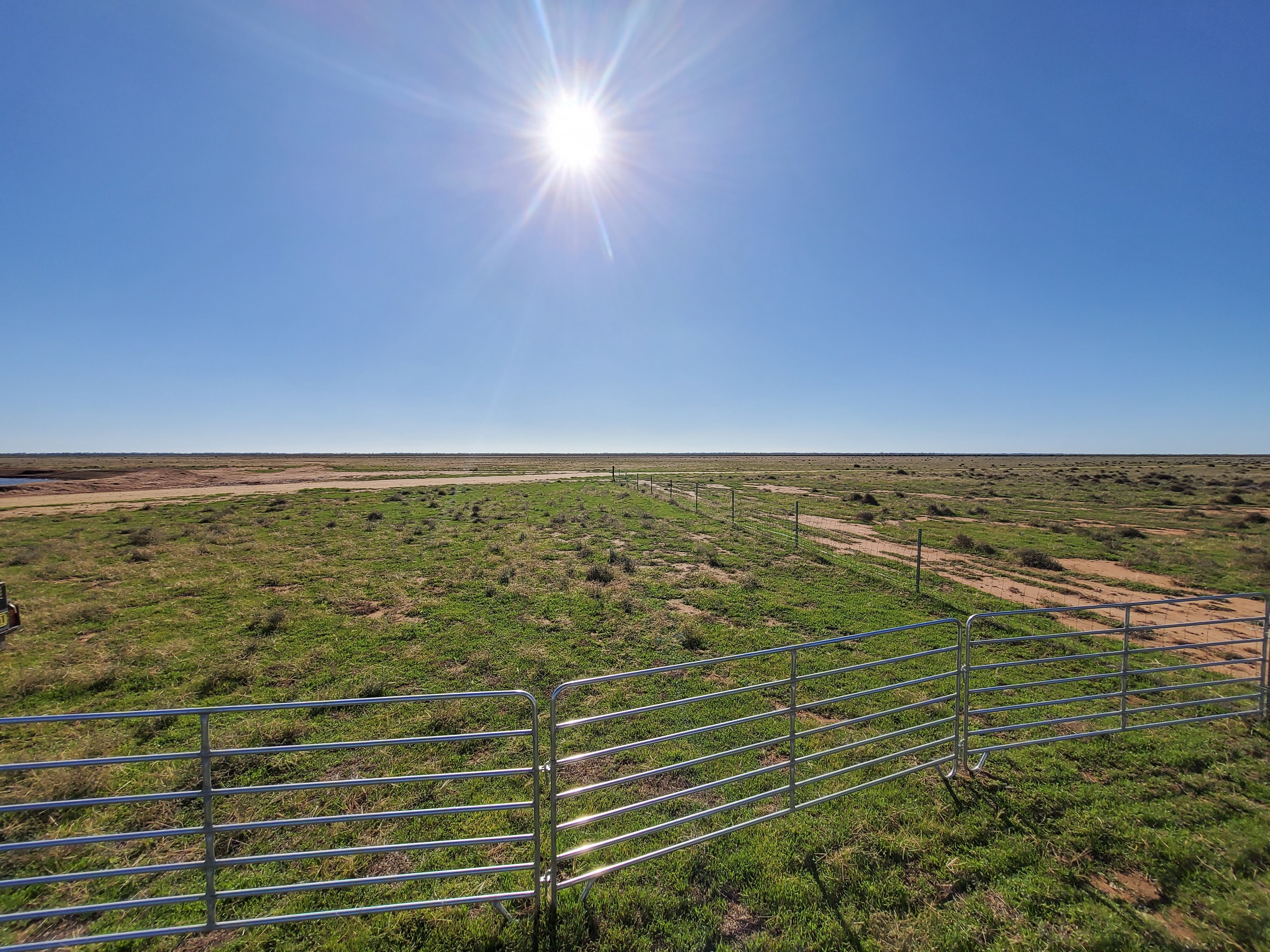 NSW government approves 1,500-megawatt Yanco Delta wind farm near ...