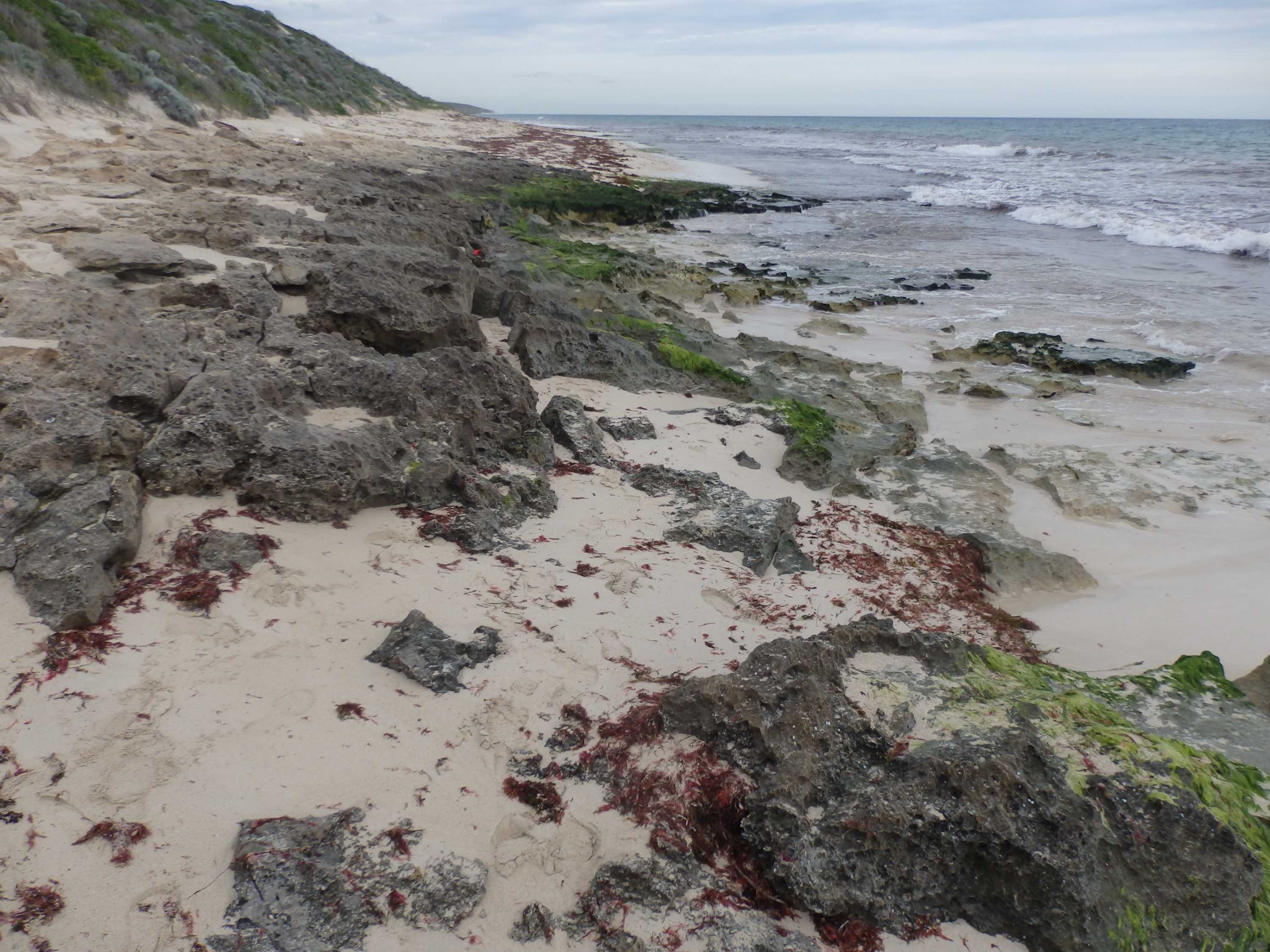 Fresh water find adds intrigue to fate of Gilt Dragon shipwreck ...