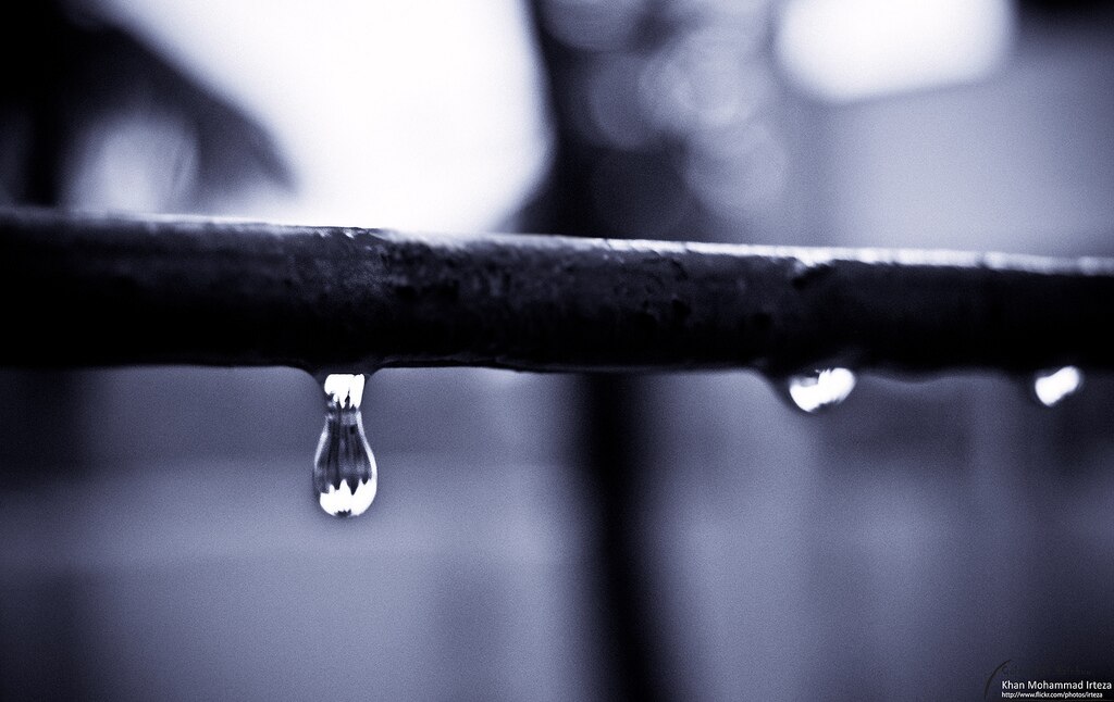 Thank you for crying - ABC listen