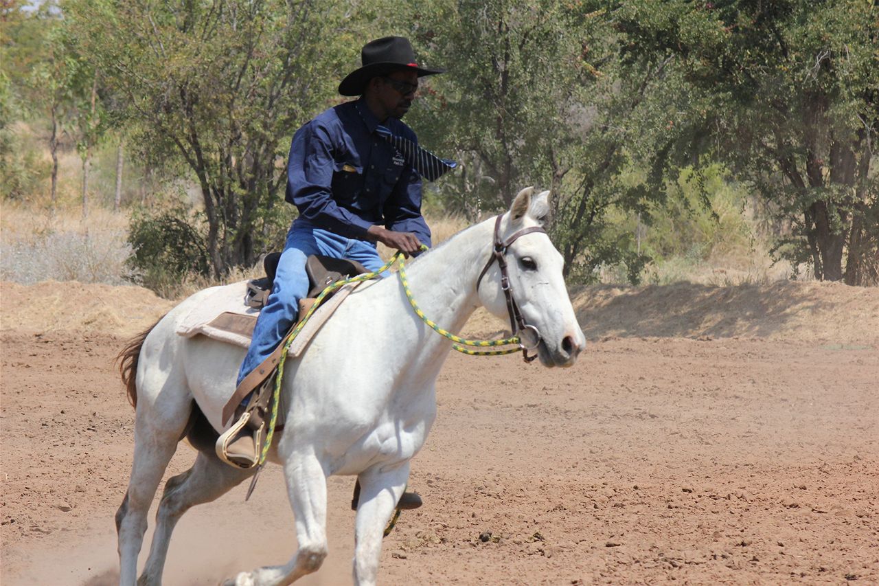 Bush training program boosting employment prospects for Indigenous ...