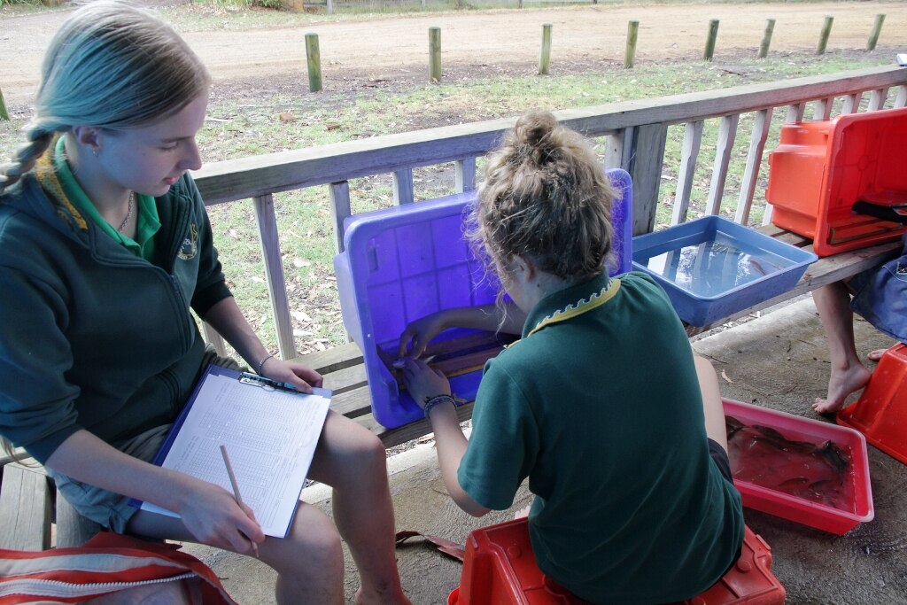 Marine science goes to school - ABC Radio National