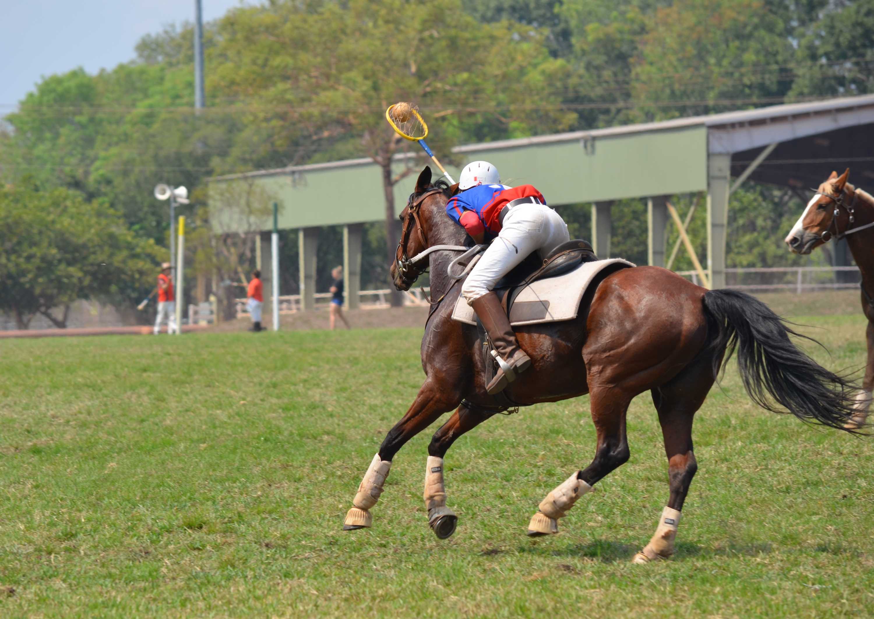 Hot weekend for horses and riders as Litchfield takes out Northern ...
