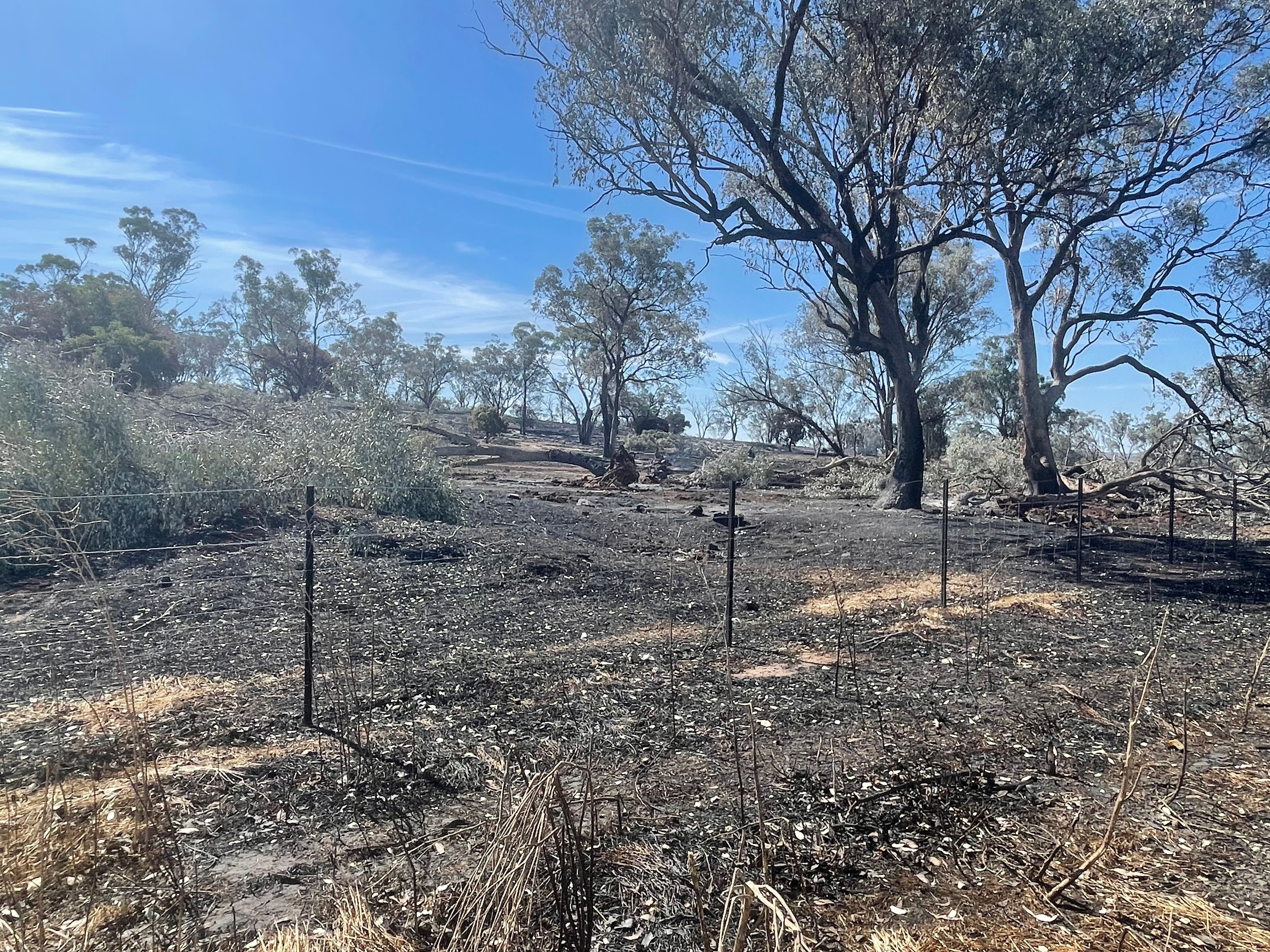 Wellington North solar farm grass fire burns almost 100ha - ABC News