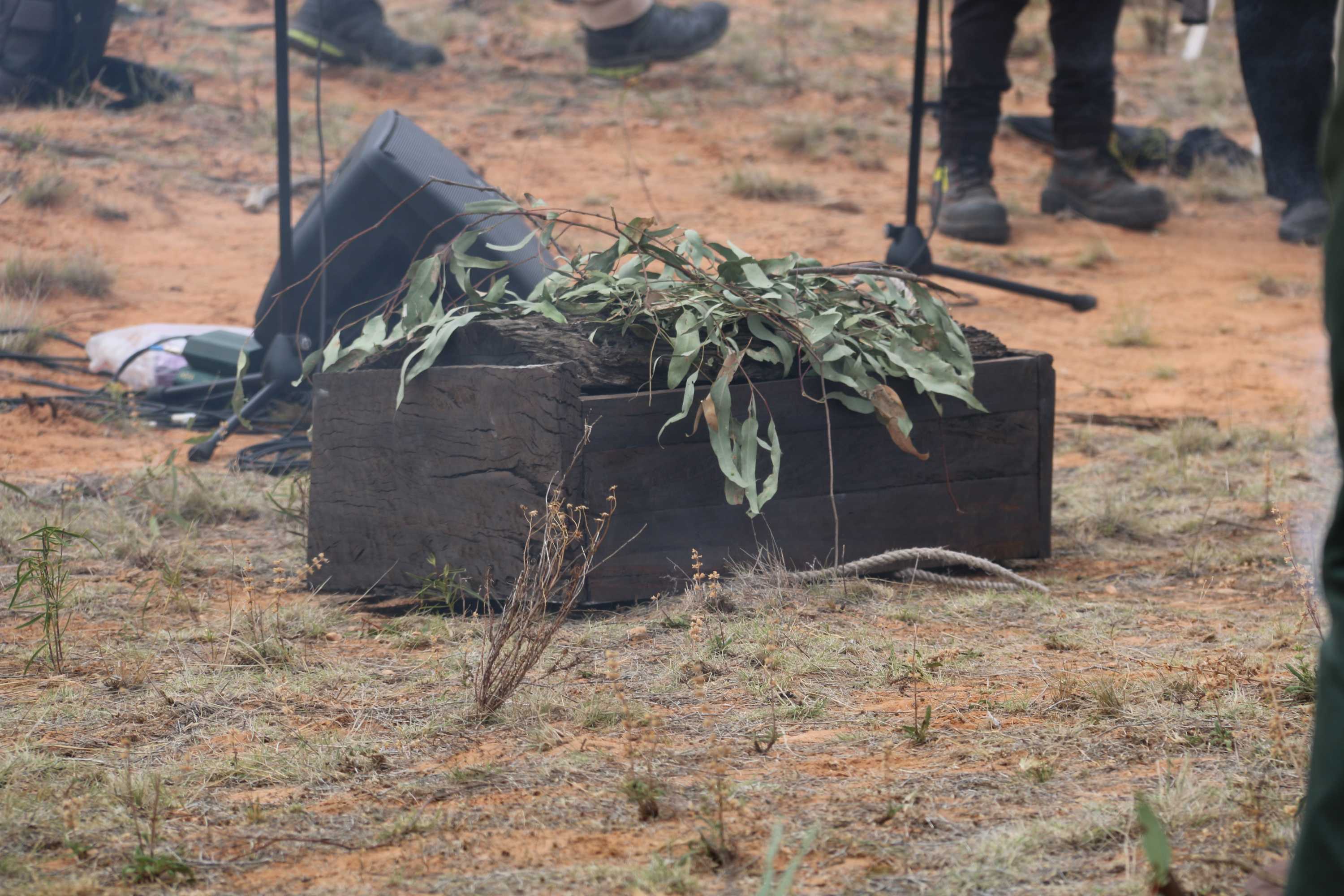 Bones of contention: the return of Mungo Man - ABC listen