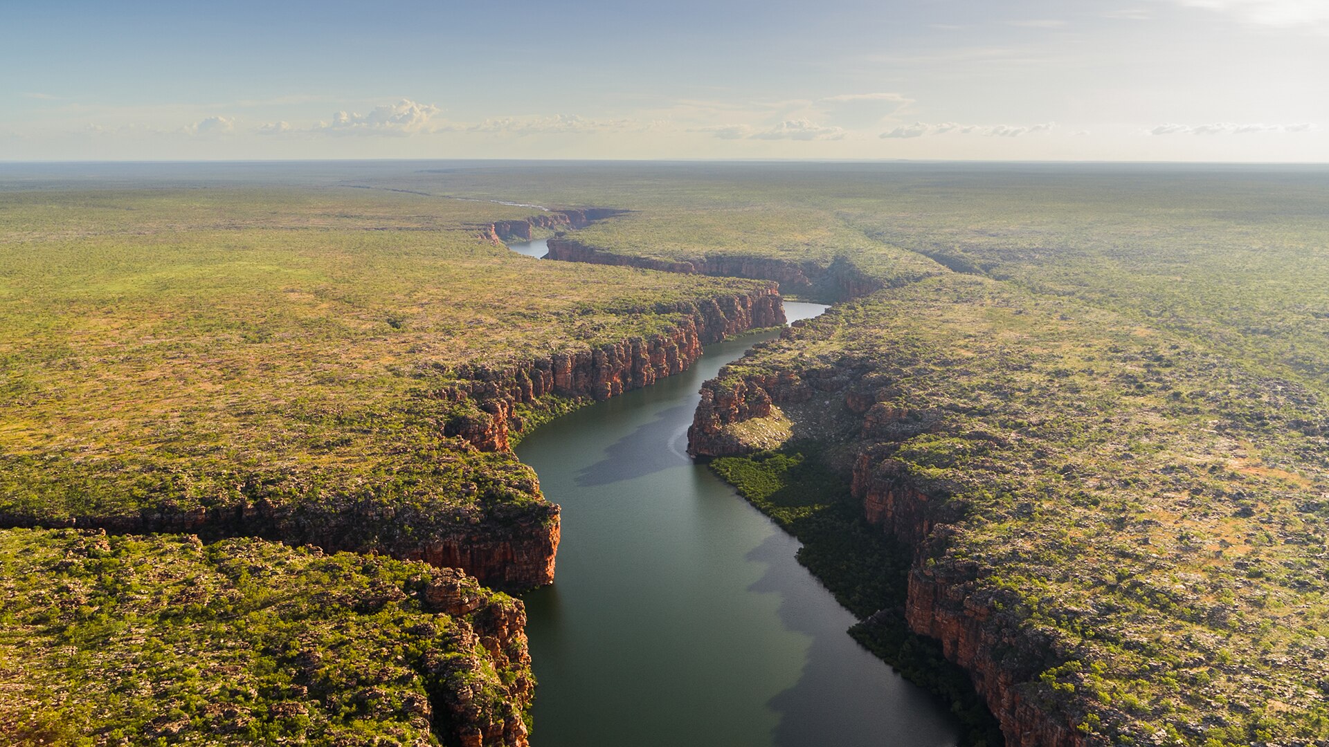 TV Guide - ABC Education