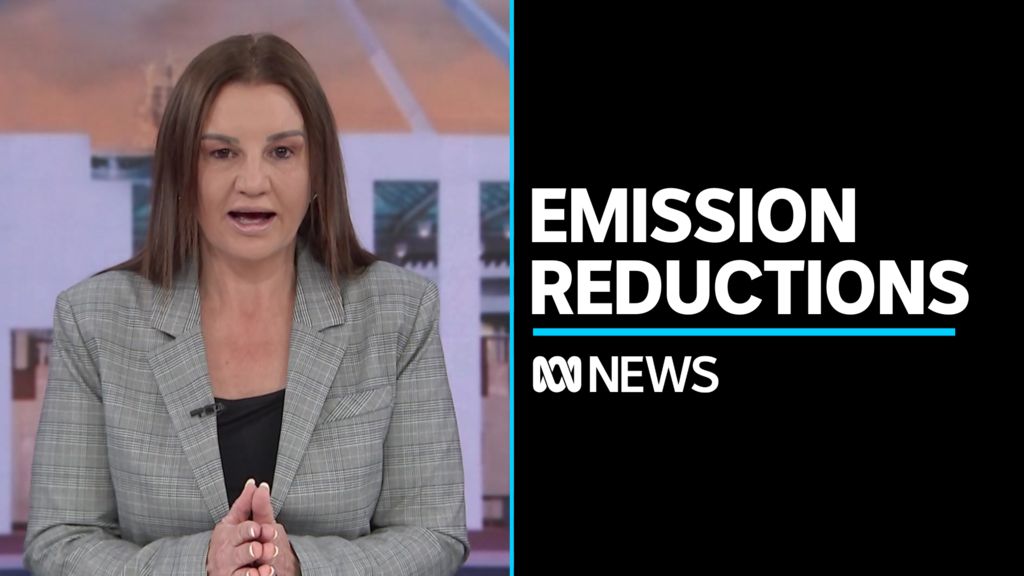 Senator Jacqui Lambie on the safeguard mechanism bill - ABC News