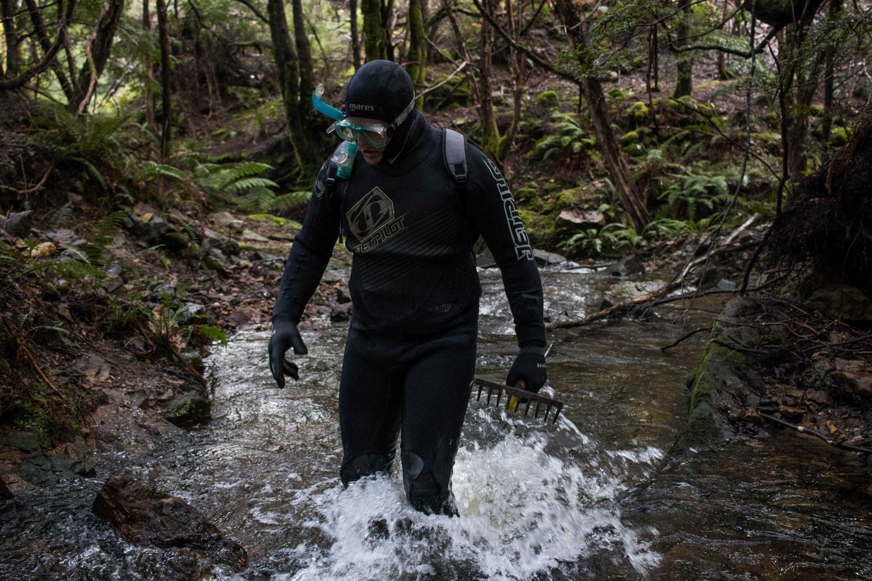 They call it 'gold fever', and when you catch it, you're in for the ...