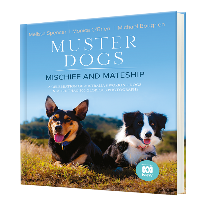 New Releases - ABC Shop