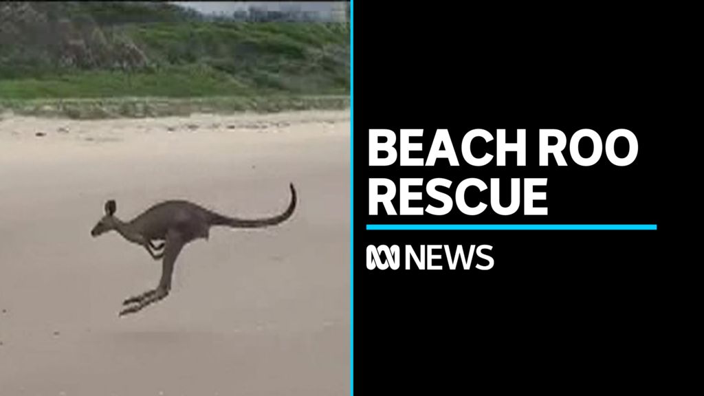 Iluka - 2466 - Location - ABC News