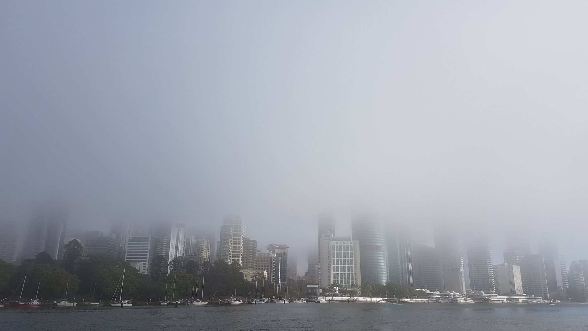Brisbane weather: Fog blankets south-east Queensland, delays Brisbane ...