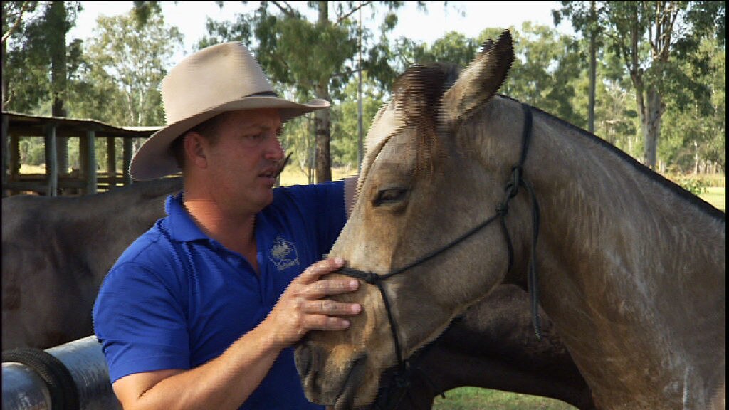 Susan River - 4655 - Location - ABC News