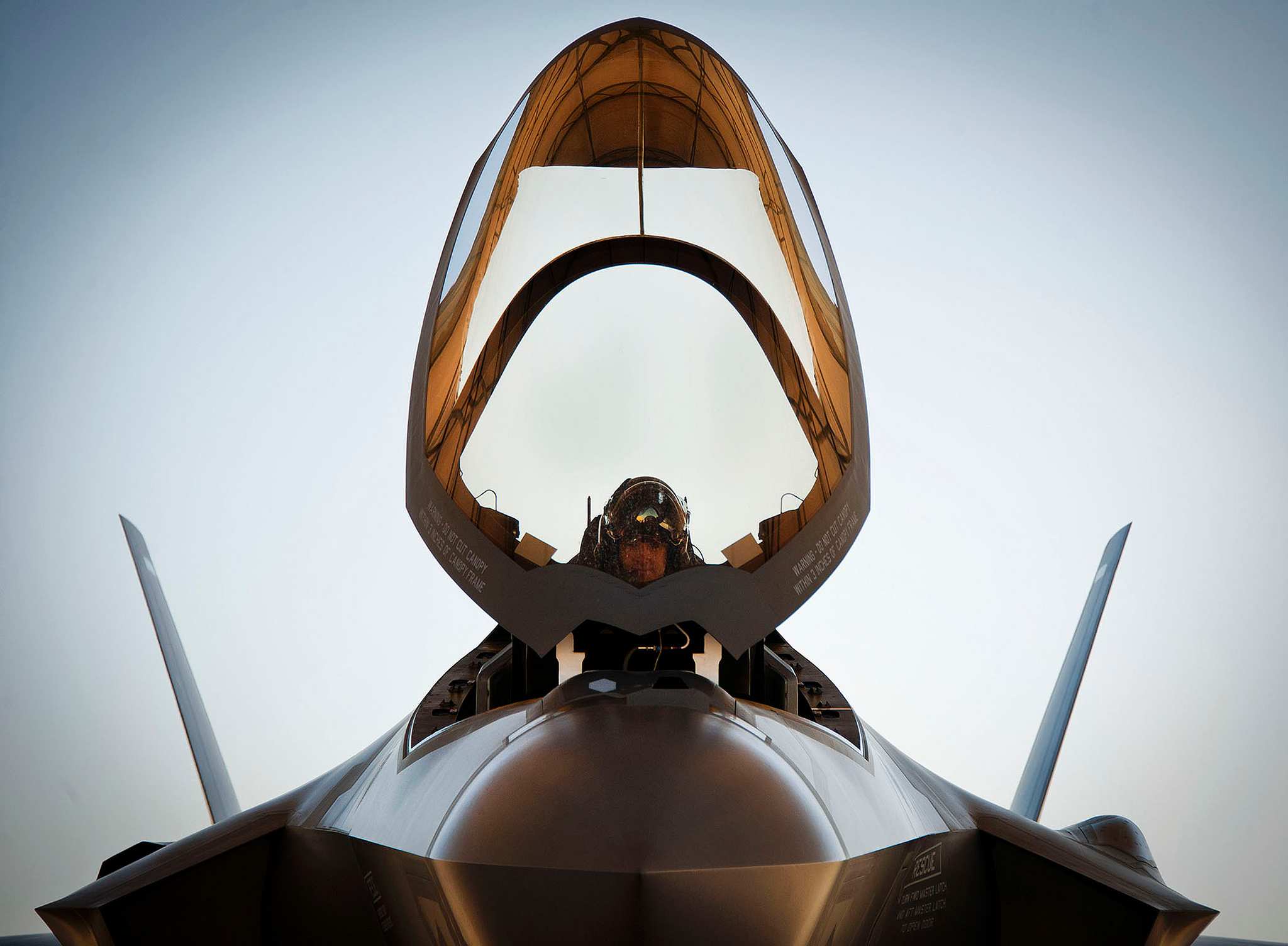 Australia needs to 'show spine' over Joint Strike Fighter says expert ...