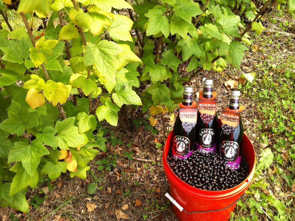 Local provenance for a national brand - ABC News