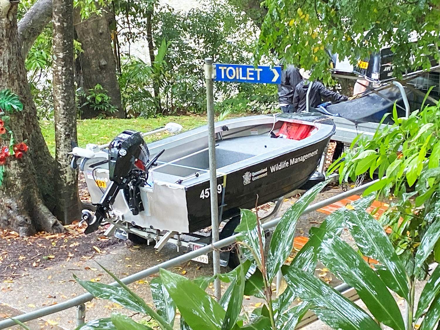 Suspected 2m crocodile attack in Far North Queensland leaves man with ...
