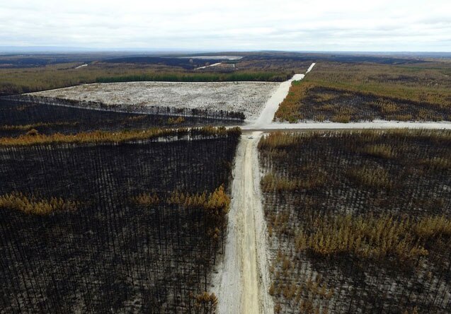 Waroona bushfire damage to pine plantations to cost WA economy up to ...