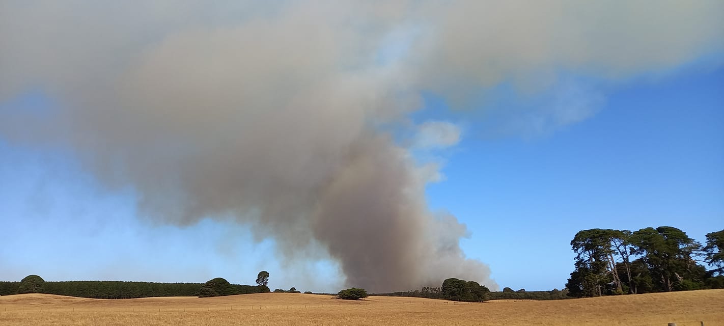 Rural residents again on high alert as fire burns in pine plantations ...