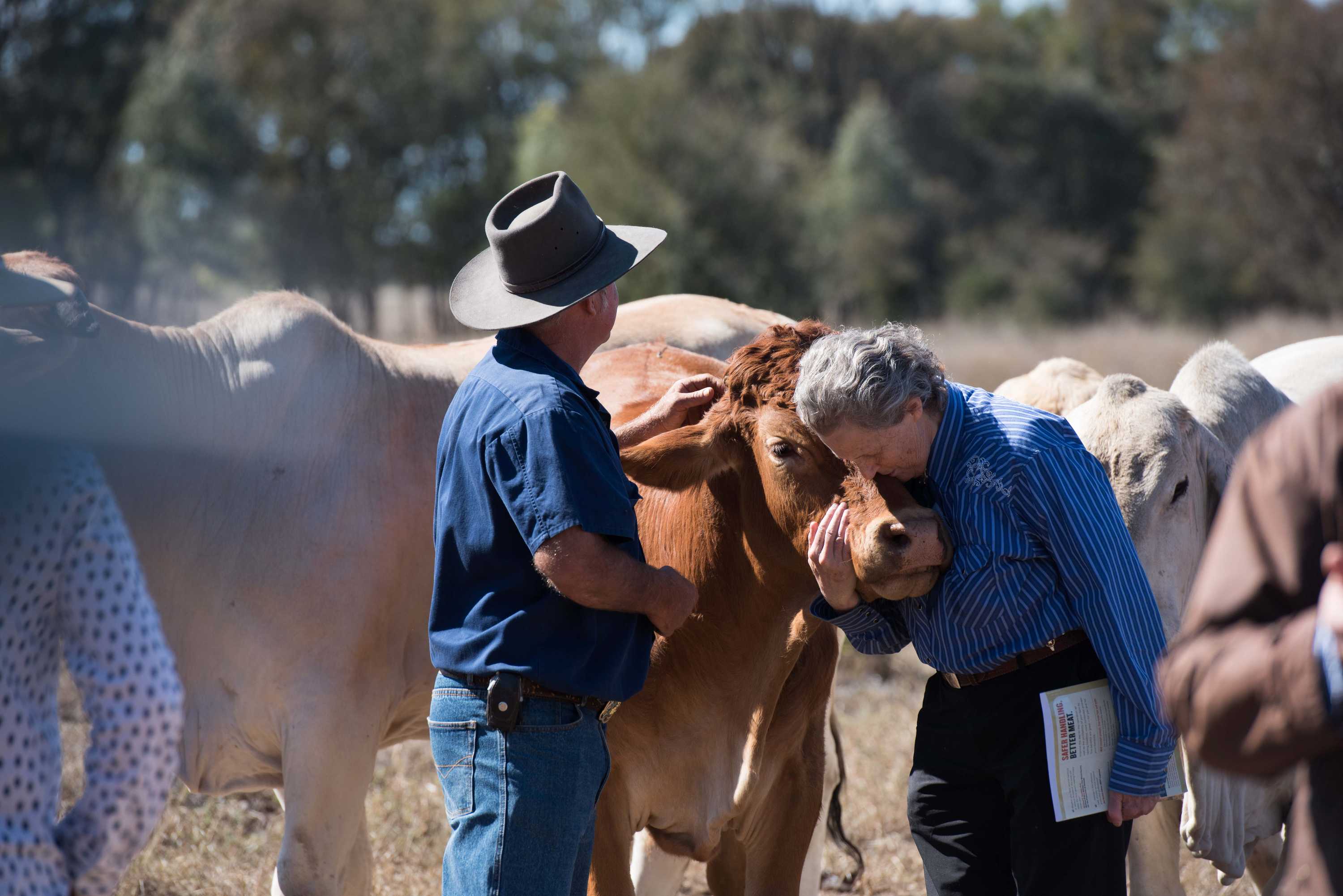 How Temple Grandin's autism gave her a 'cow's-eye view' of the world ...