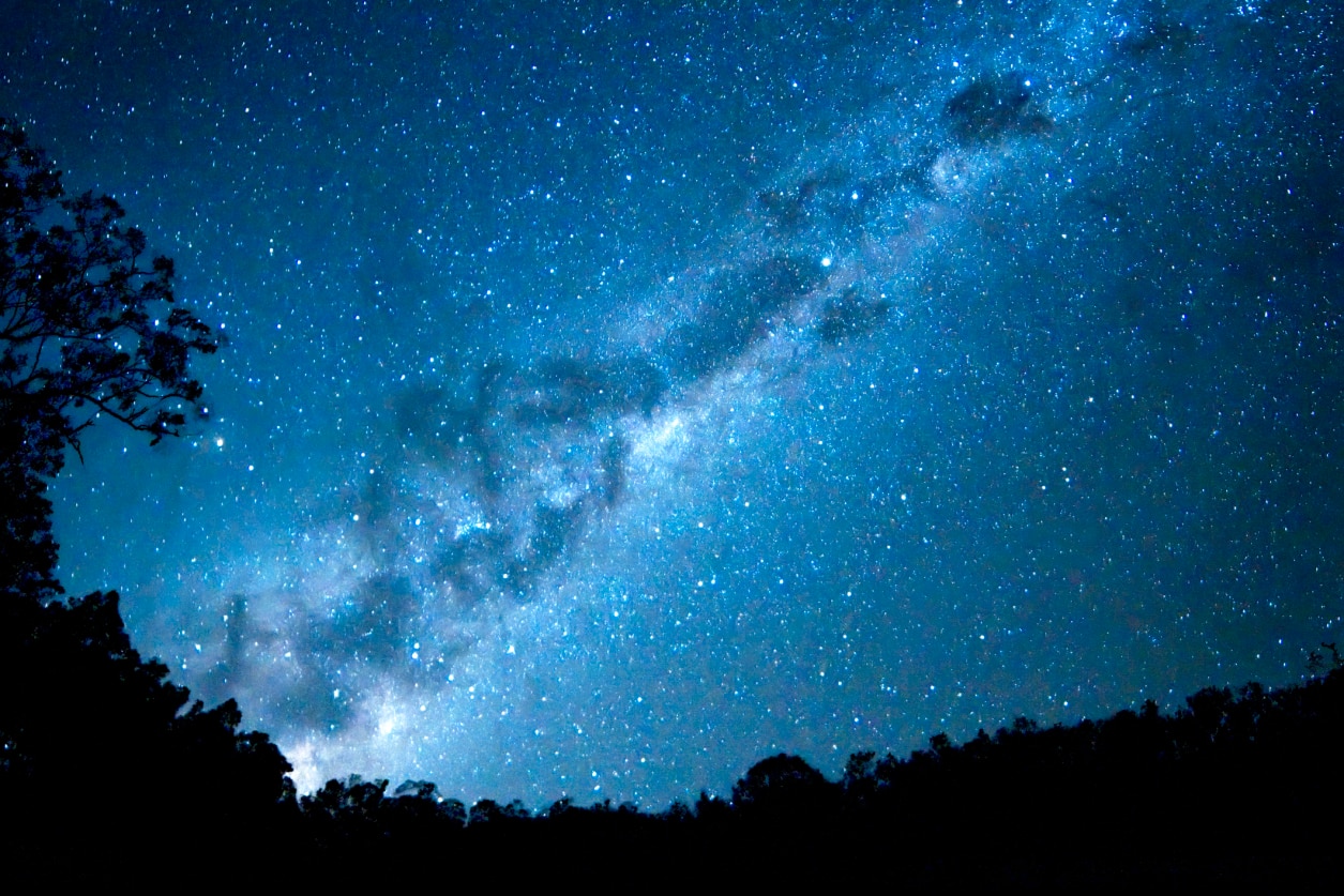 Dr Ian Musgrave - ABC News