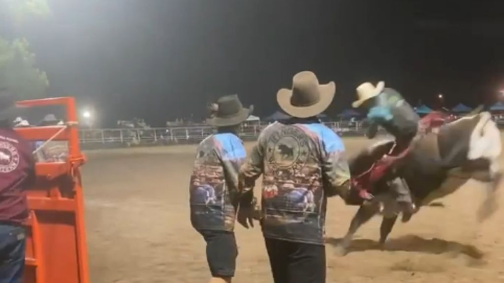 Pandemonium comes to Mareeba - ABC News