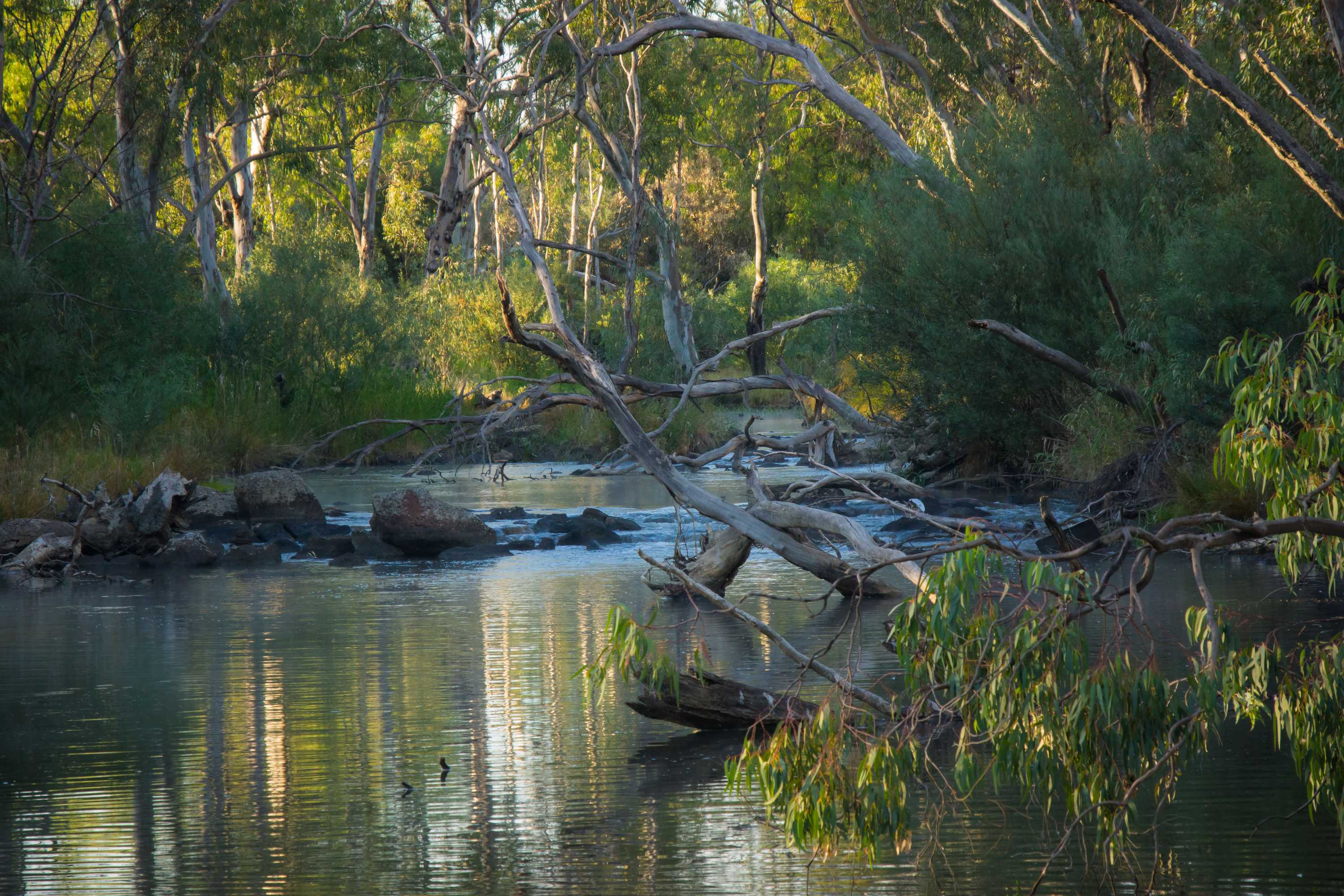 Legacy of gold mining on Victoria's river systems subject of research ...