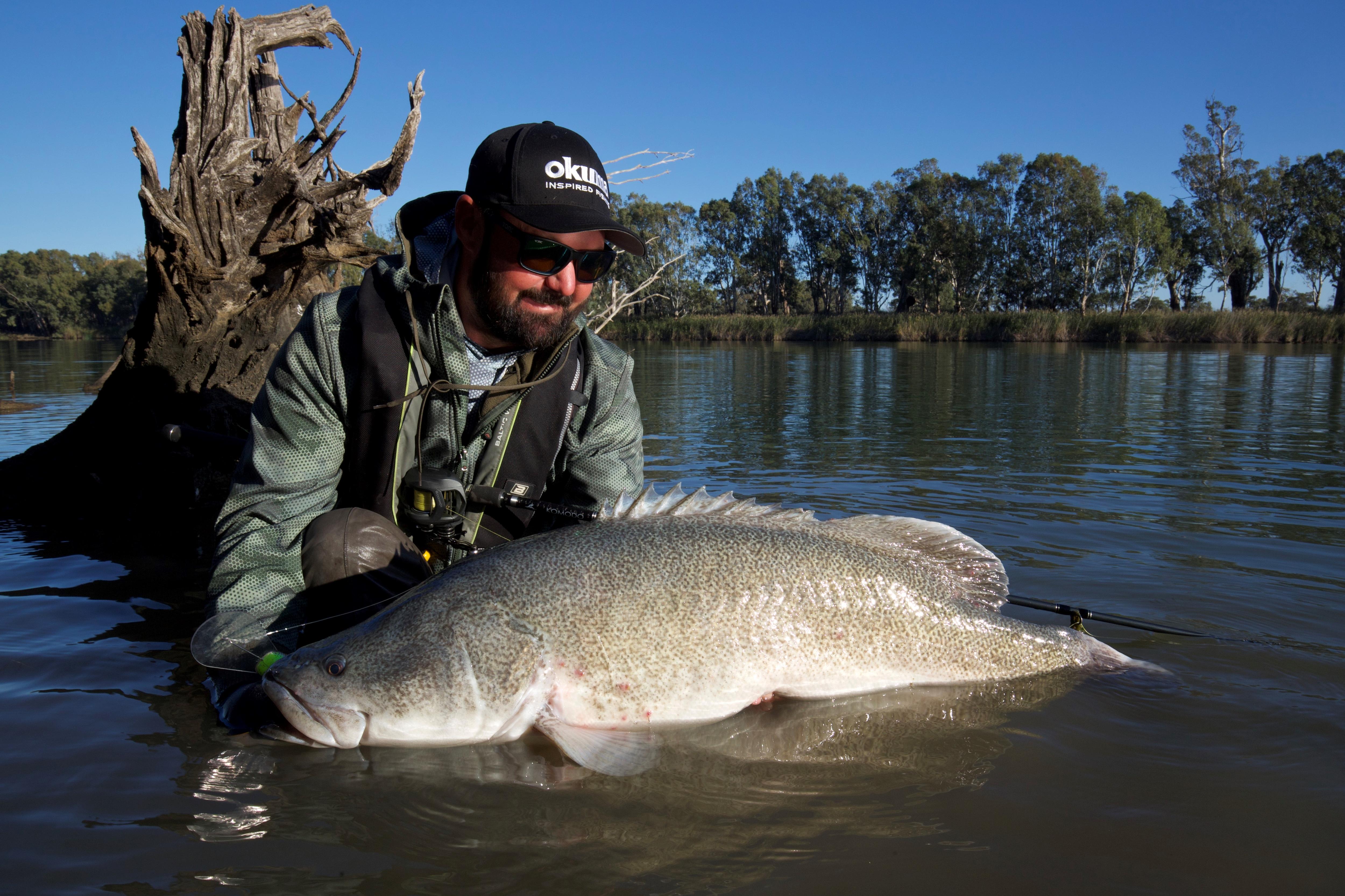 The Big Fish: Wagga, where the Big Cod Live - ABC listen