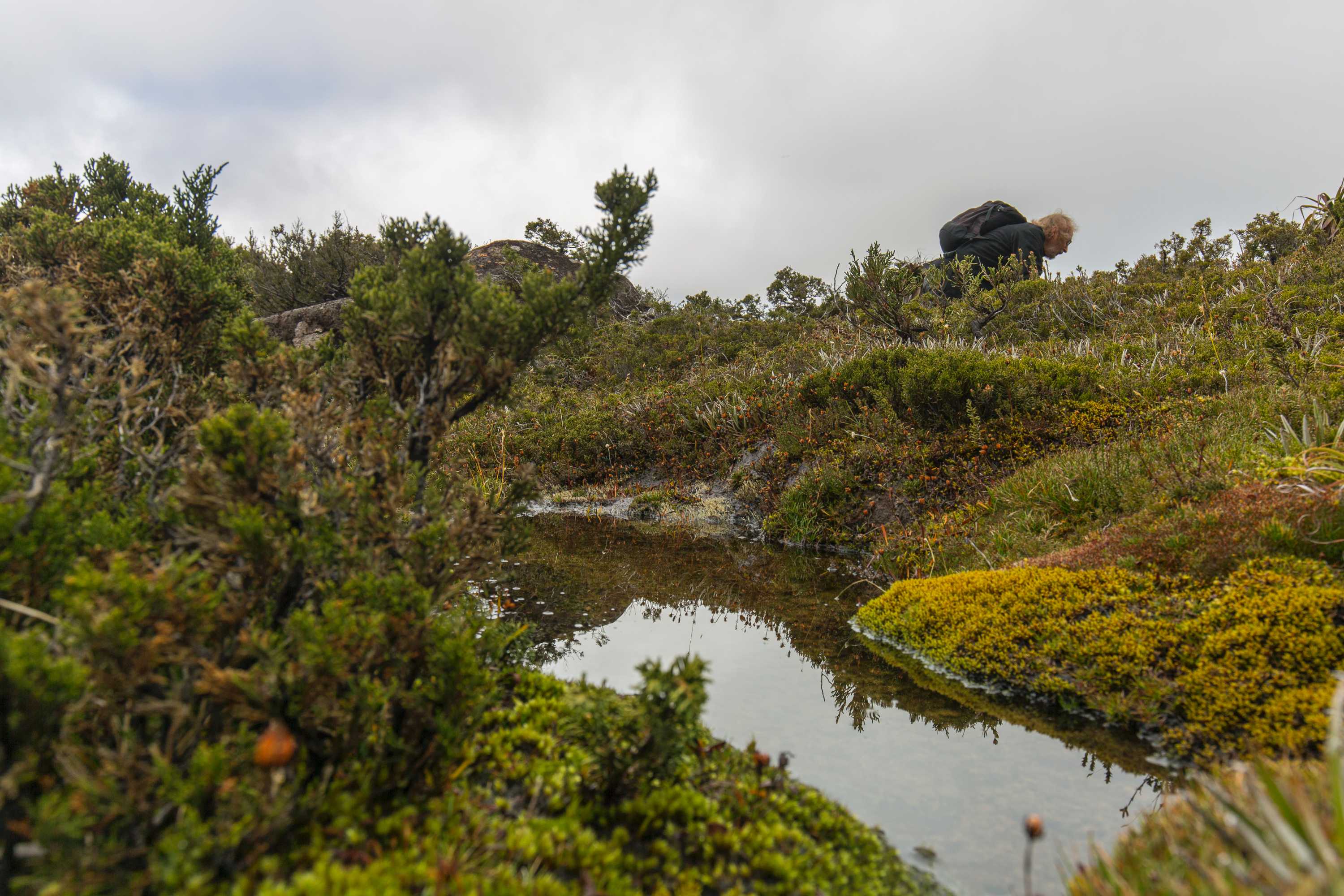 When Jamie fell in love with the mountains - ABC listen
