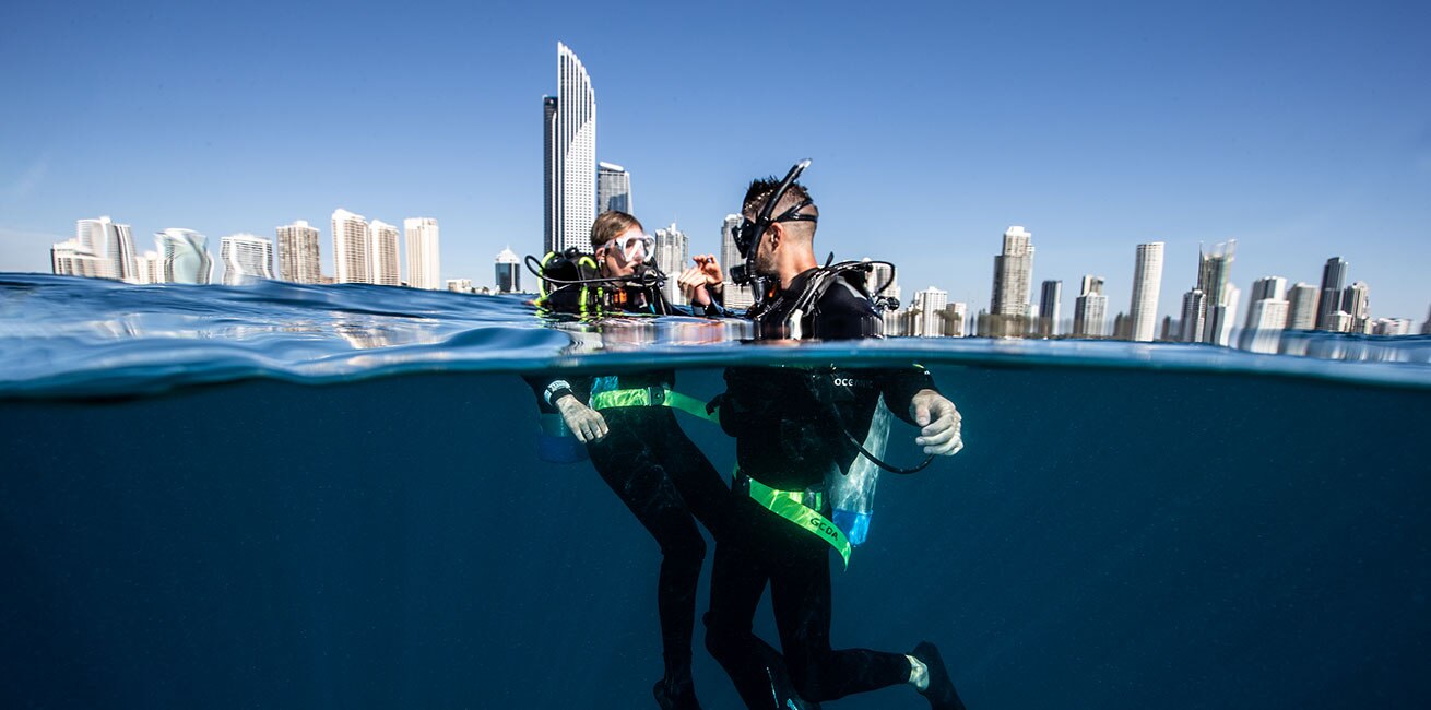 Gold Coast's new Wonder Reef attracts one commercial dive operator ...