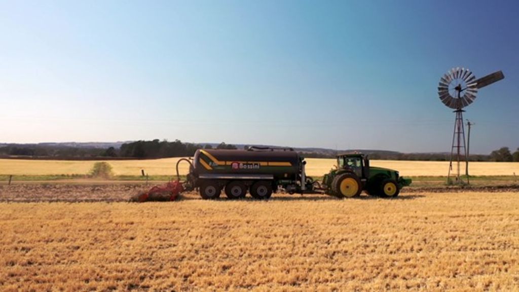Farming Rocks: The former landscapers 'farming' rocks - ABC News