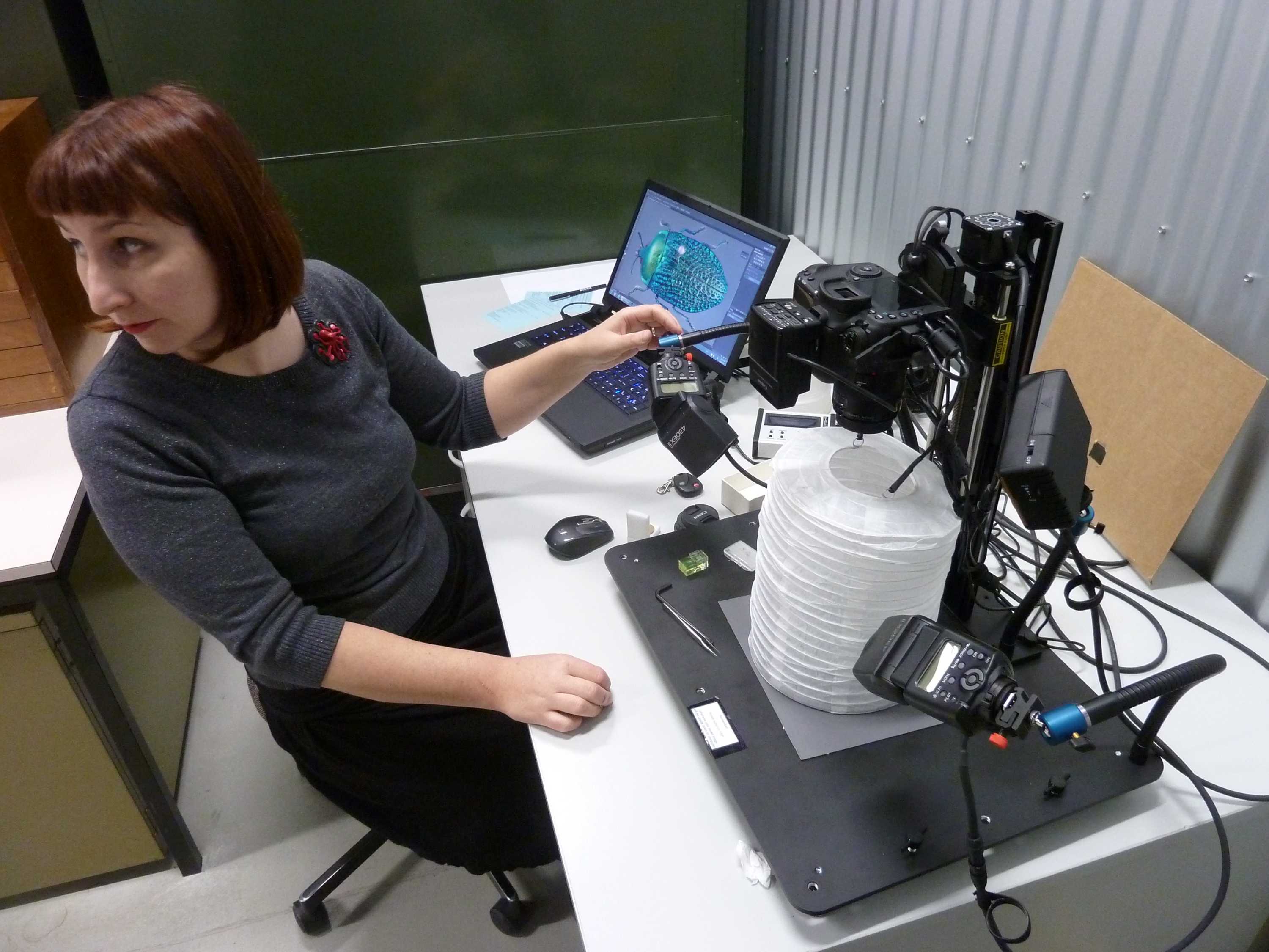 A day in the life of a museum taxonomist - ABC listen