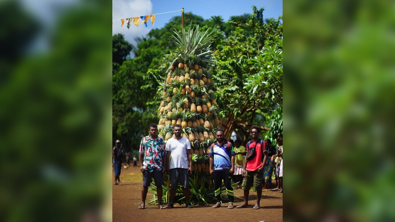 Pineapple tree brings cheer to local Solomon Islands community and ...