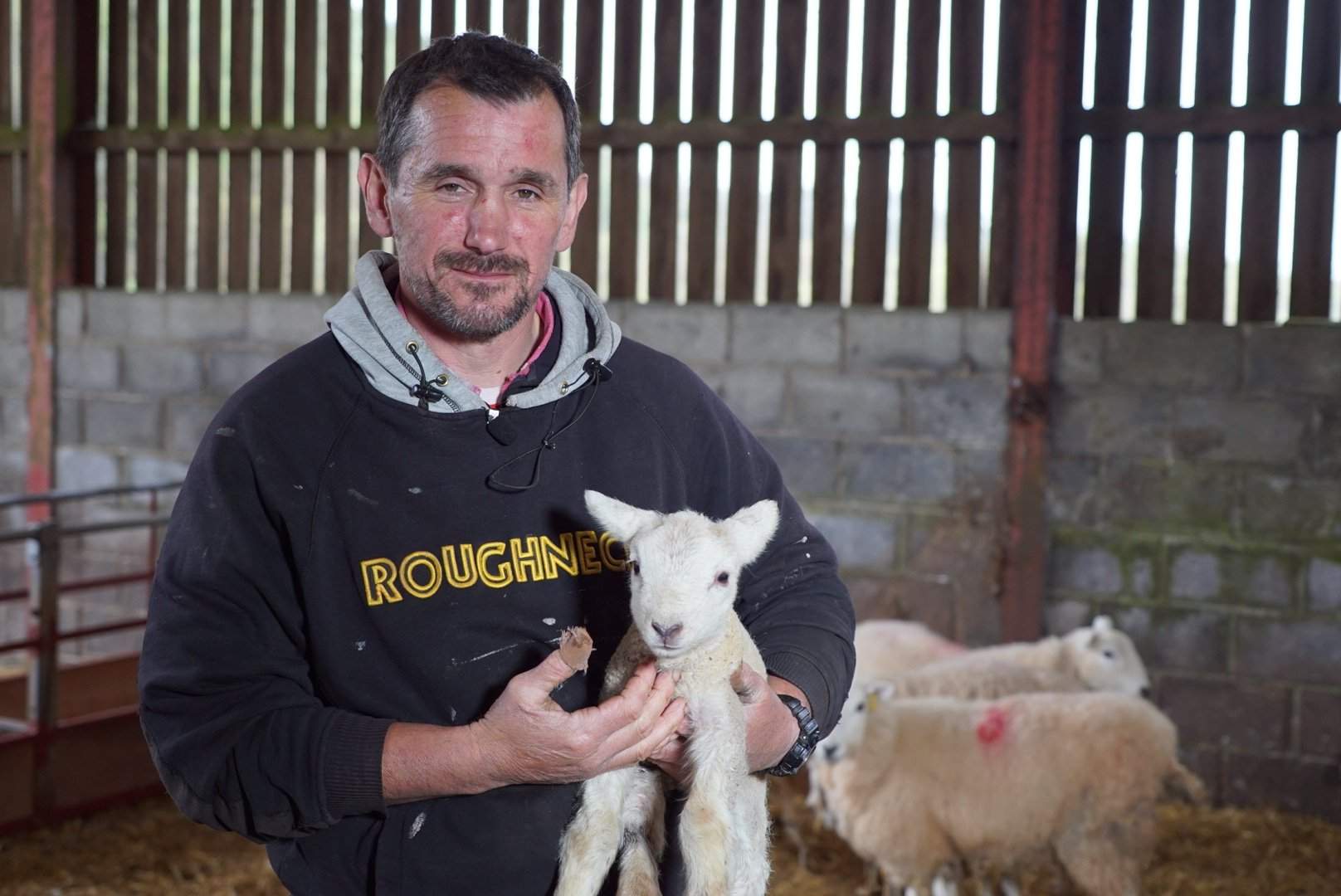 Australia-UK trade deal could cause 'turmoil' in Wales amid Brexit ...