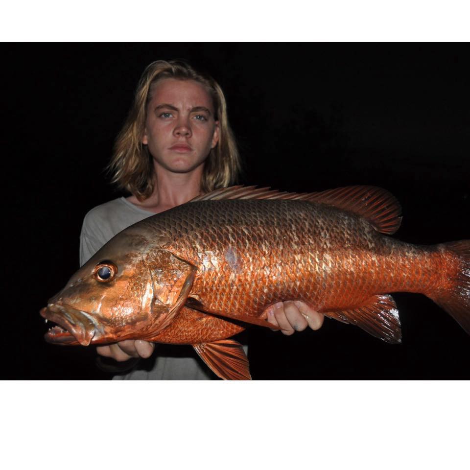Biggest jack caught in the harbour? - ABC Darwin