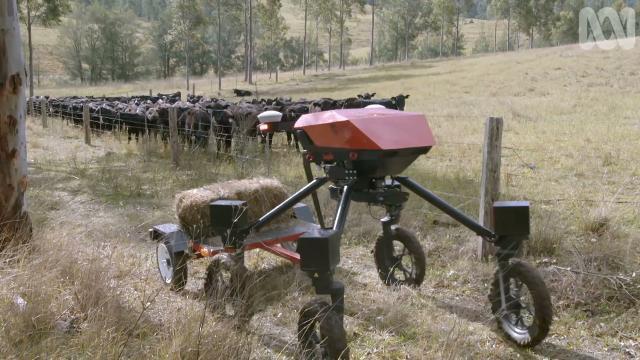 Catalyst: Is robotics the future of cattle farming? - ABC Education