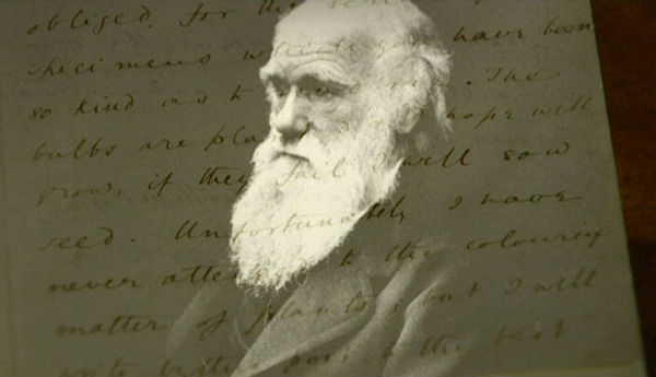 Darwin's Ghost in the Garden - ABC listen