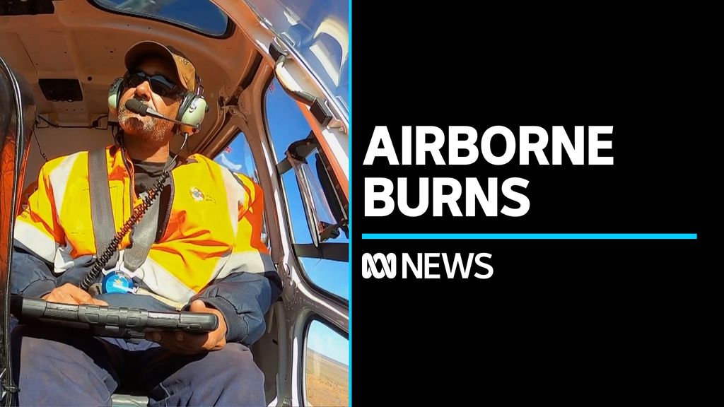 Indigenous rangers take to the skies to protect prized trees - ABC News