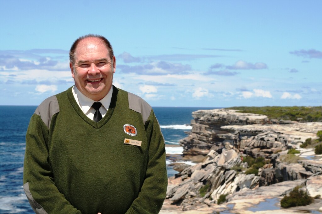 Wild about whales - ABC listen