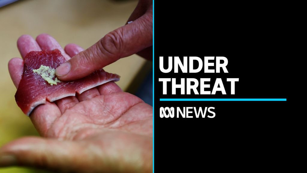 Global Warming - Topic - ABC News