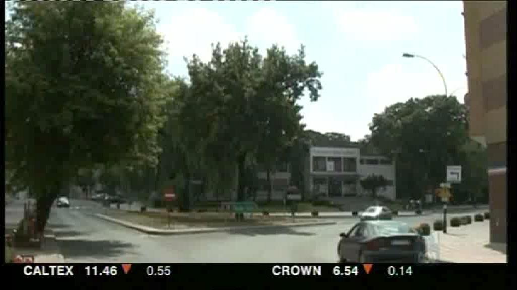 Hitler tree to get the chop - ABC News